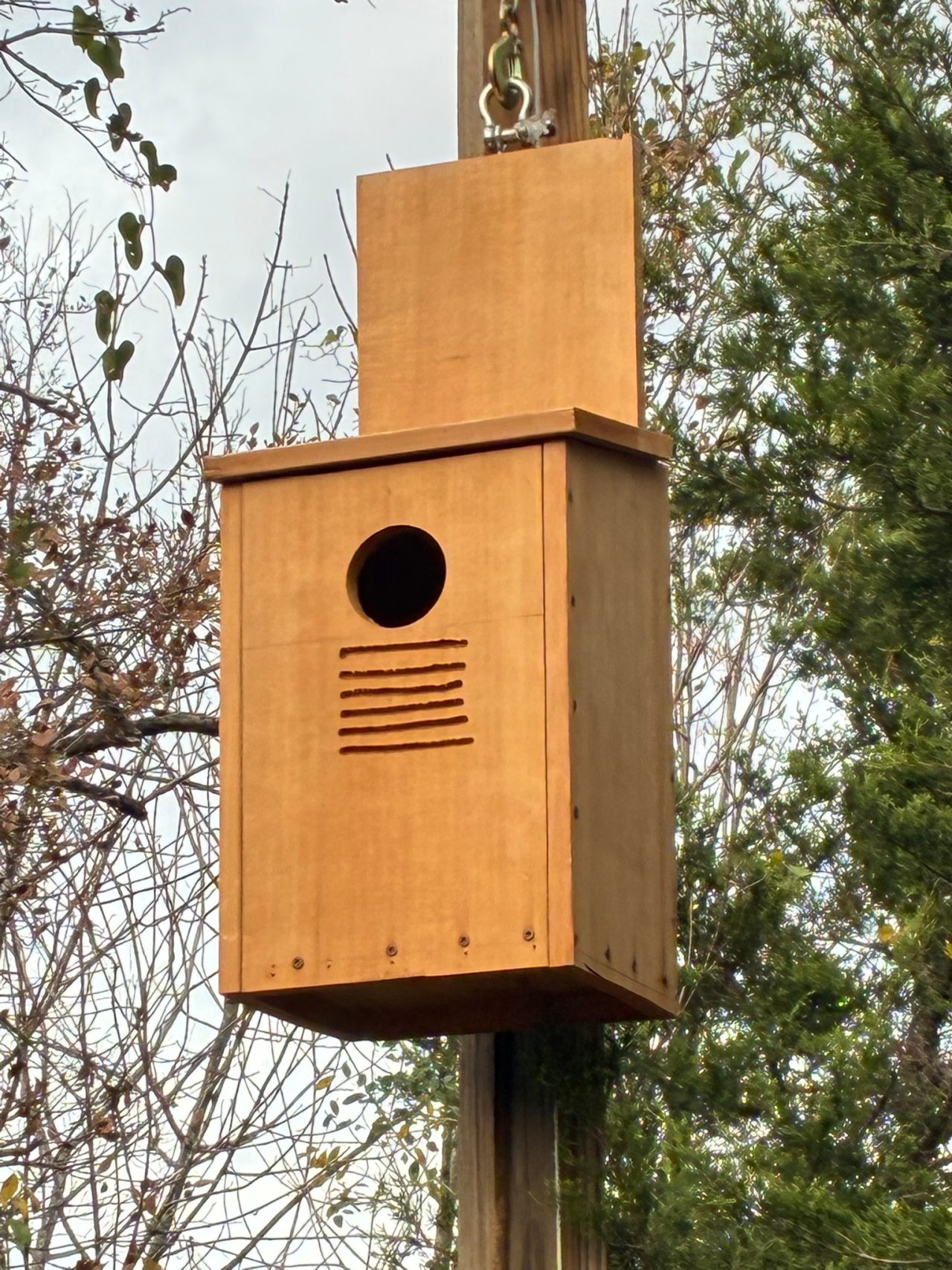 Scout Project - Replace Two Eastern Screech Owl Nest Boxes ...